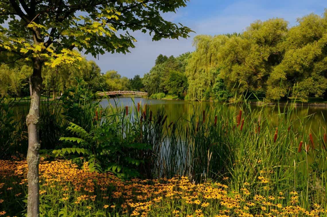 Top 5 Things You Should Know about Victoria Park Kitchener - Scoop Canada