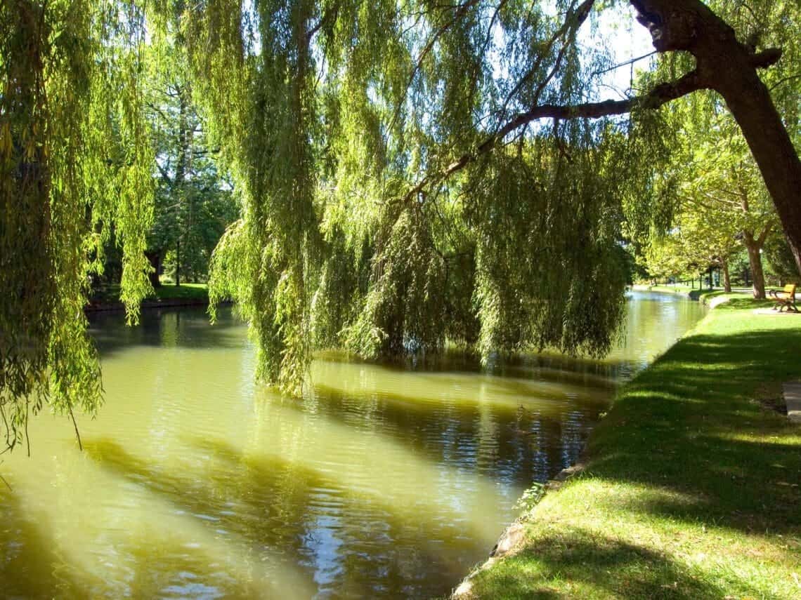 Victoria Park Kitchener - Top 5 Things You Should Know