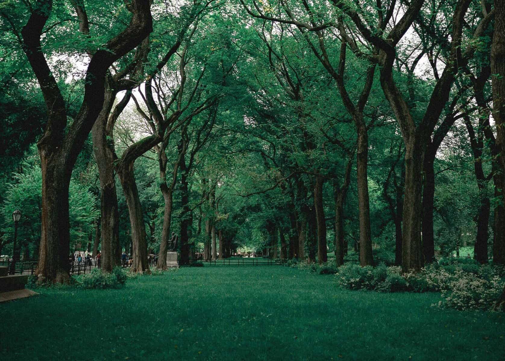 Victoria Park Kitchener - Top 5 Things You Should Know